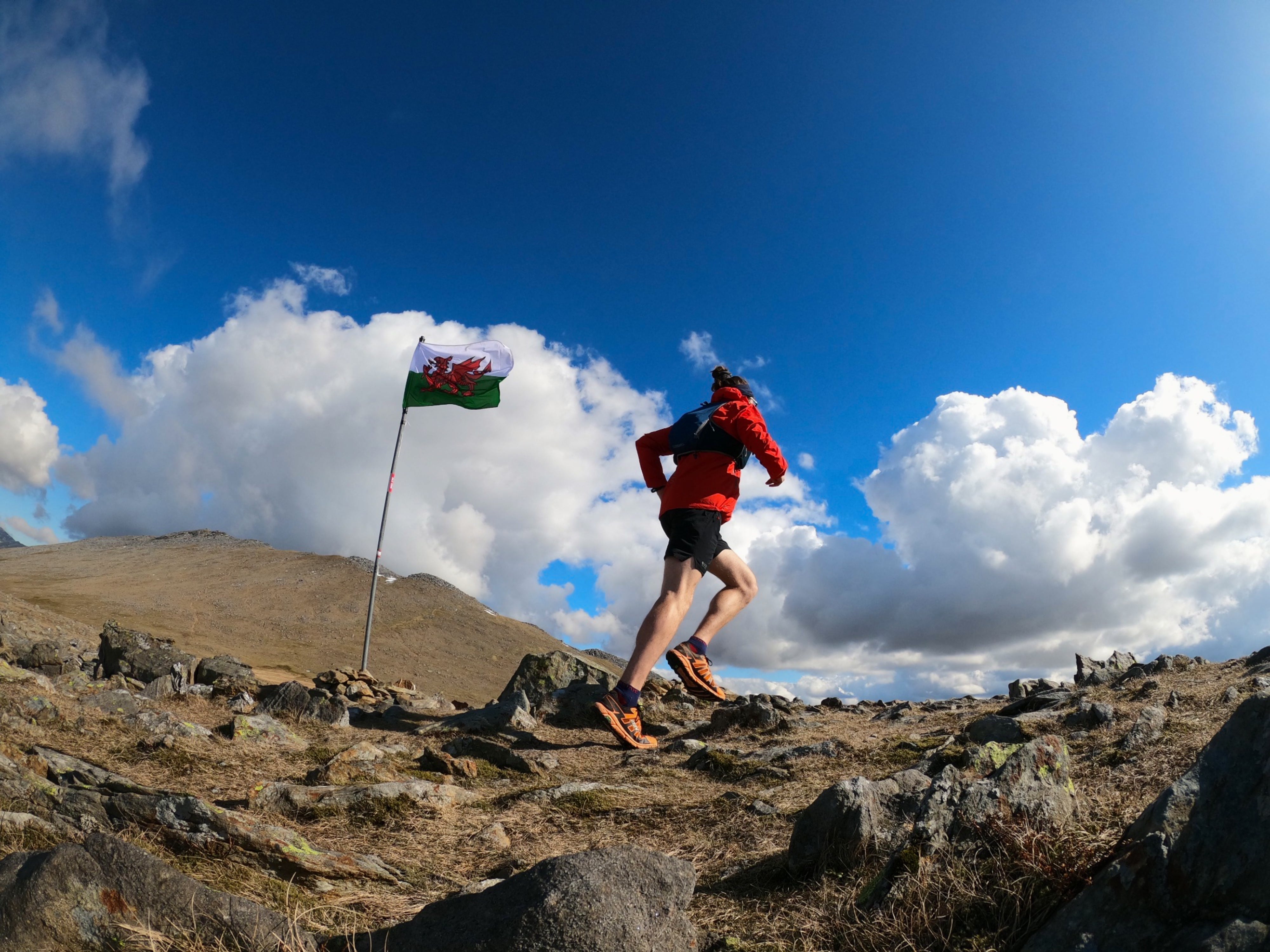 Harry and the Paddy - Part 1 – Harrier Trail Running